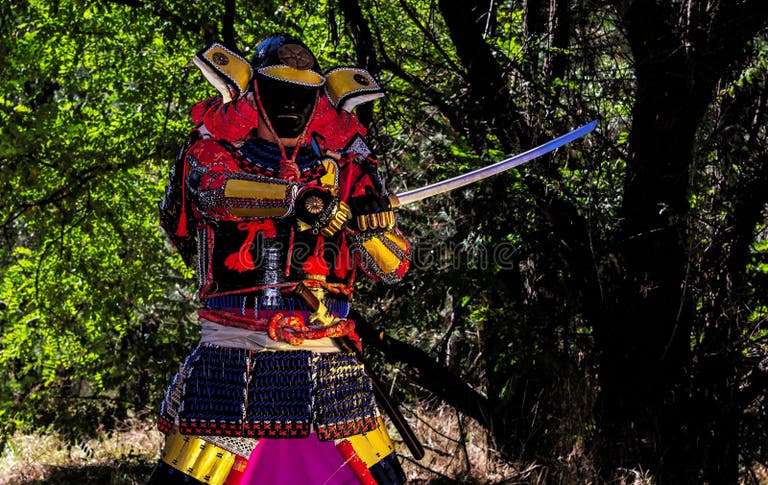 Samurai Back Silhouette Stock Photos - Free & Royalty-Free Stock Photos ...