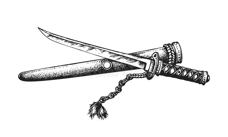 Samurai Warrior Tanto Sword or Dagger. Hand Drawn Vector Illustration ...