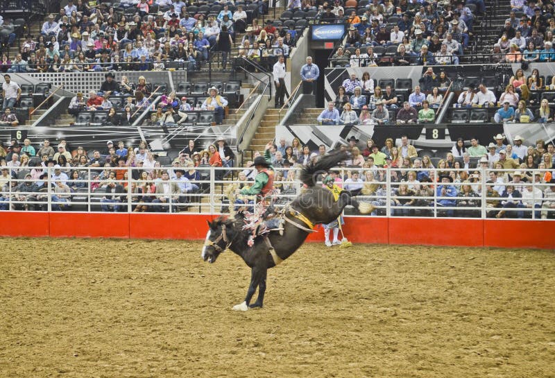 Rodeo Action stock image. Image of determination, action - 35955387