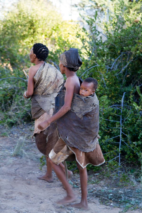 De Bosjesmannen Van Botswana Redactionele Stock Foto - Image of ...