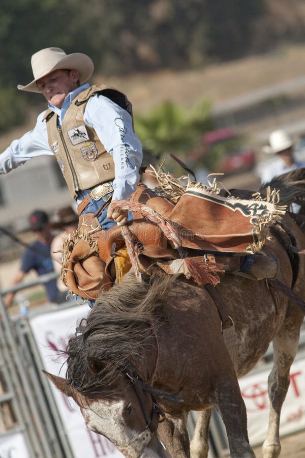 San Dimas Rodeo Saddle Bronc Editorial Photography - Image of cowboys ...