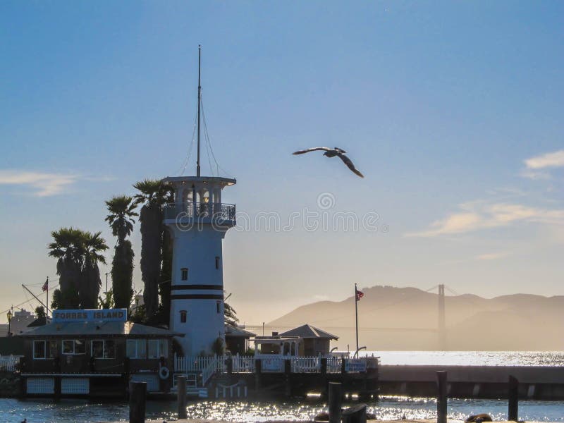 San Francisco Bay Area Lighthouse Editorial Photo - Image of lighthouse ...