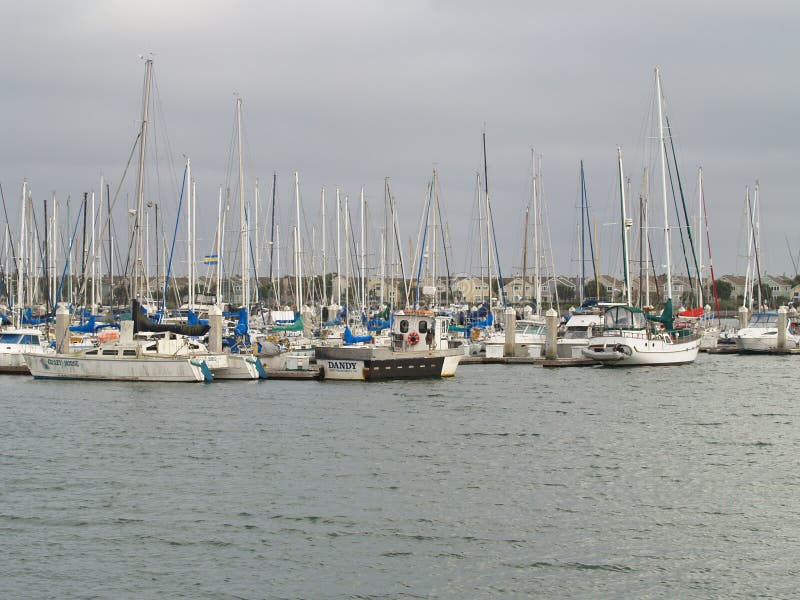 San Francisco Bay Area Ocean View Editorial Photo - Image of leaf ...