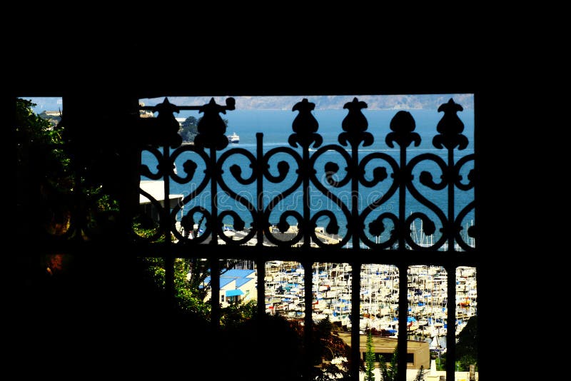 San Francisco Downtown Ocean View Stock Photo - Image of exotic, palm ...