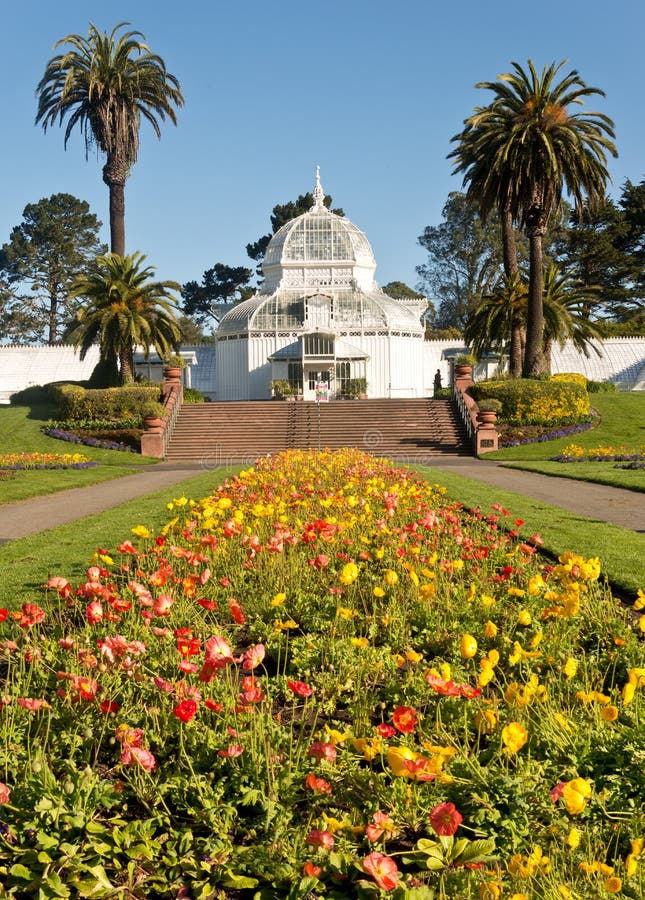 San Francisco Golden Gate Park Conservatory De Flores Foto de archivo ...