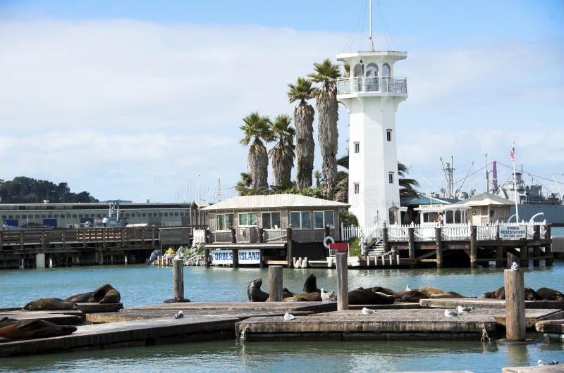 San Francisco marina editorial stock photo. Image of famous - 18264368