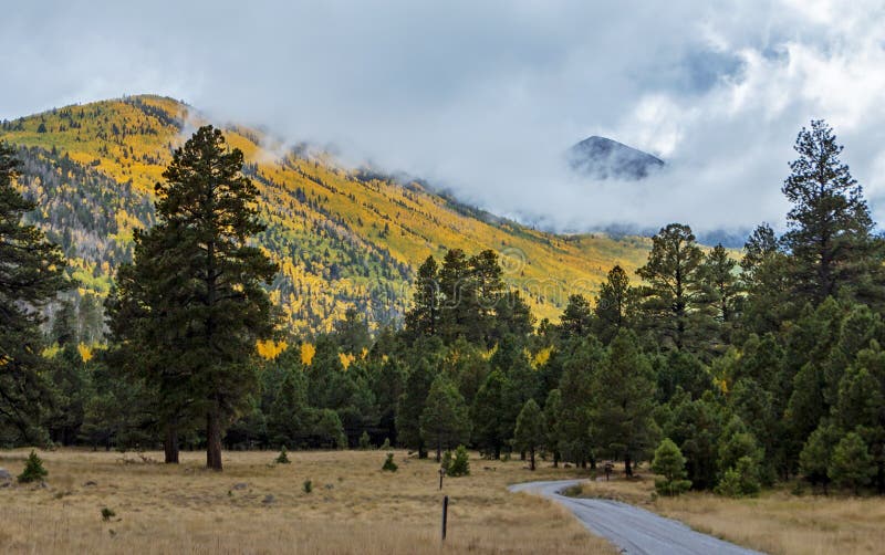 San Francisco Peaks of Flagstaff during Fall Stock Photo - Image of ...