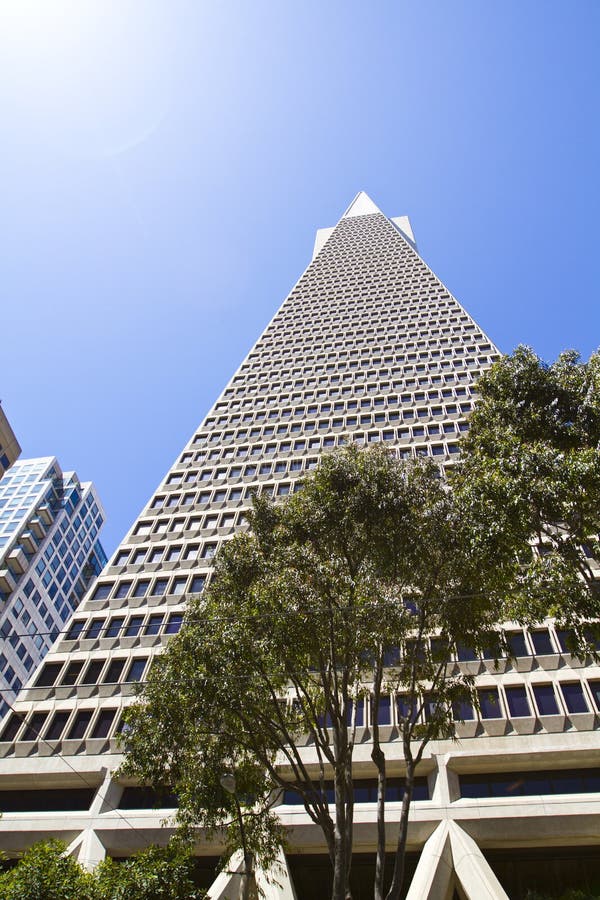 San Francisco Transamerica Pyramid Building Editorial Stock Photo ...