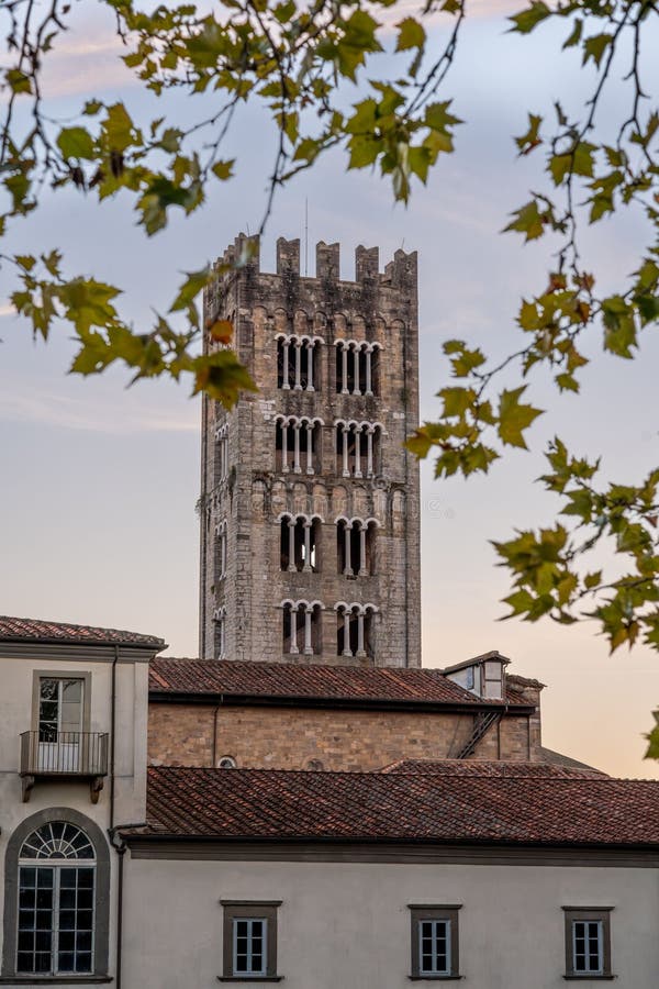 San Frediano Church Tower Framed by Tree Branches in a Lucca, Italy ...