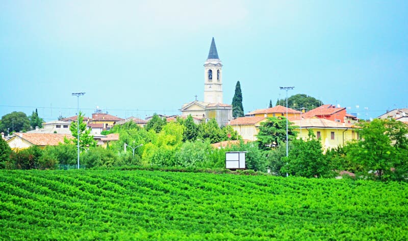 San Giorgio in Salici Village Vineyards Veneto Stock Photo - Image of ... San Giorgio in Salici Village Vineyards Veneto Stock Photo - Image of ...