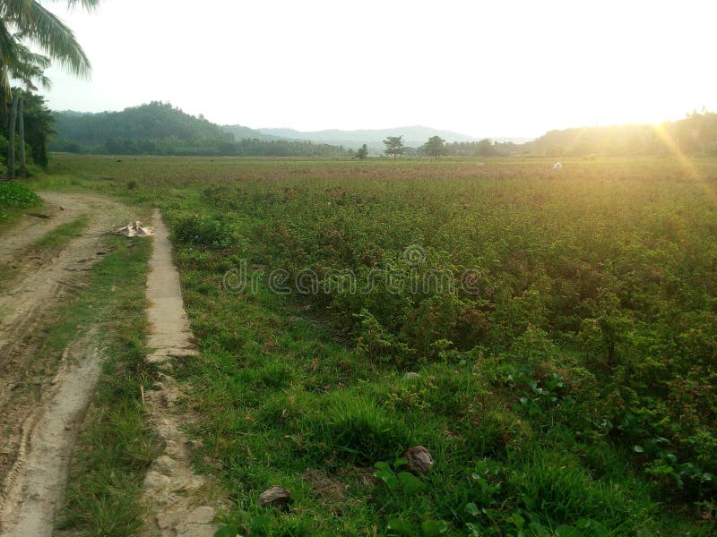 San Isidro Leyte, Philippines Photo stock - Image du paradis, province ...