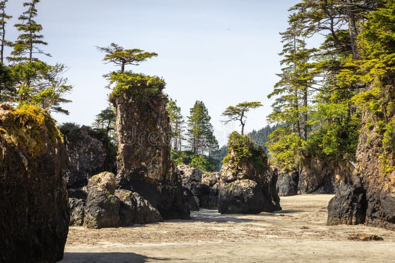 San Josef Bay Sea Stacks stock image. Image of tourism - 296712217