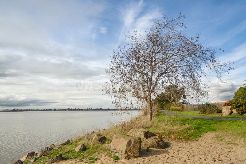 San Leandro Bay fotografering för bildbyråer. Bild av francisco - 48511895