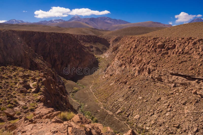 San Pedro River`s Valley in Atacama Desert - Chile Stock Image - Image ...