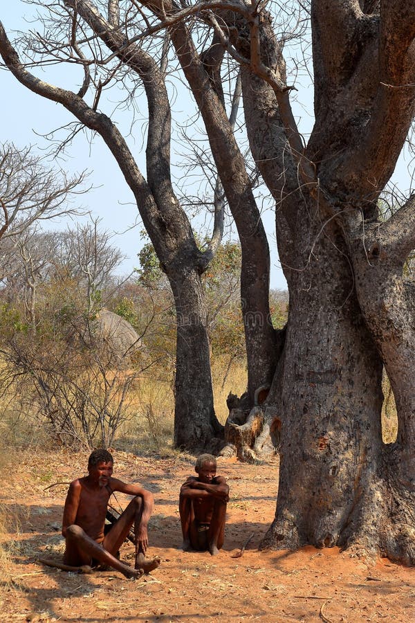 San People in Namibia stock image. Image of africans - 130695673