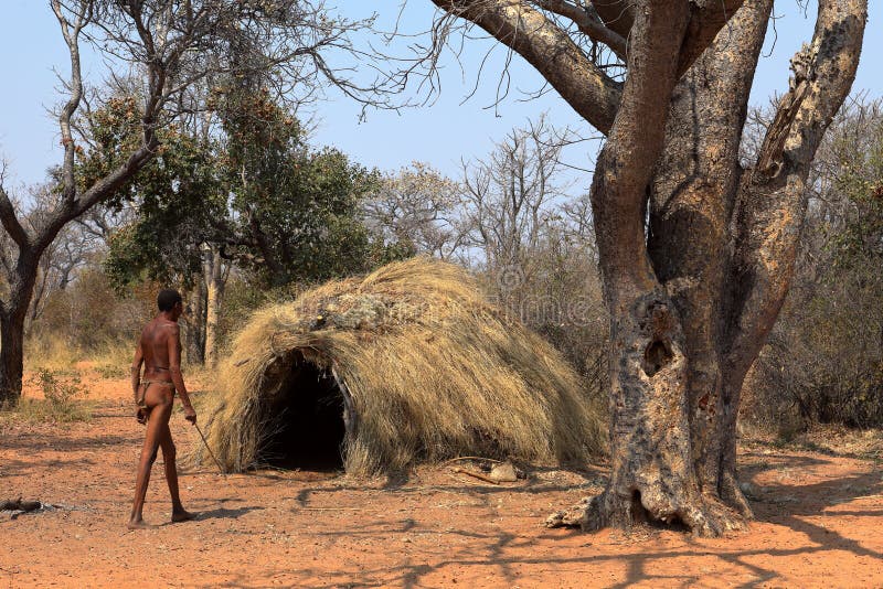 Village of the San in Namibia Stock Photo - Image of gatherers ...