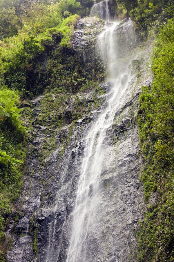 San Ramon Waterfalls En La Isla De Ometepe, Nicaragua Imagen de archivo ...