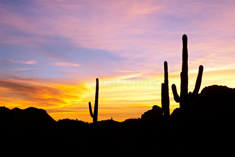 San Tan Sunset stock photo. Image of southwest, flora - 17421692