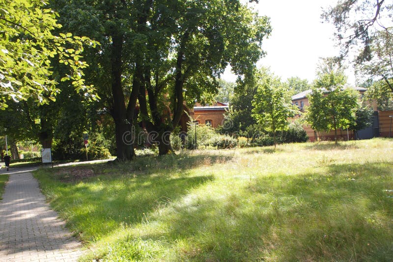 Wittenau Sanatorium Stock Photos - Free & Royalty-Free Stock Photos ...