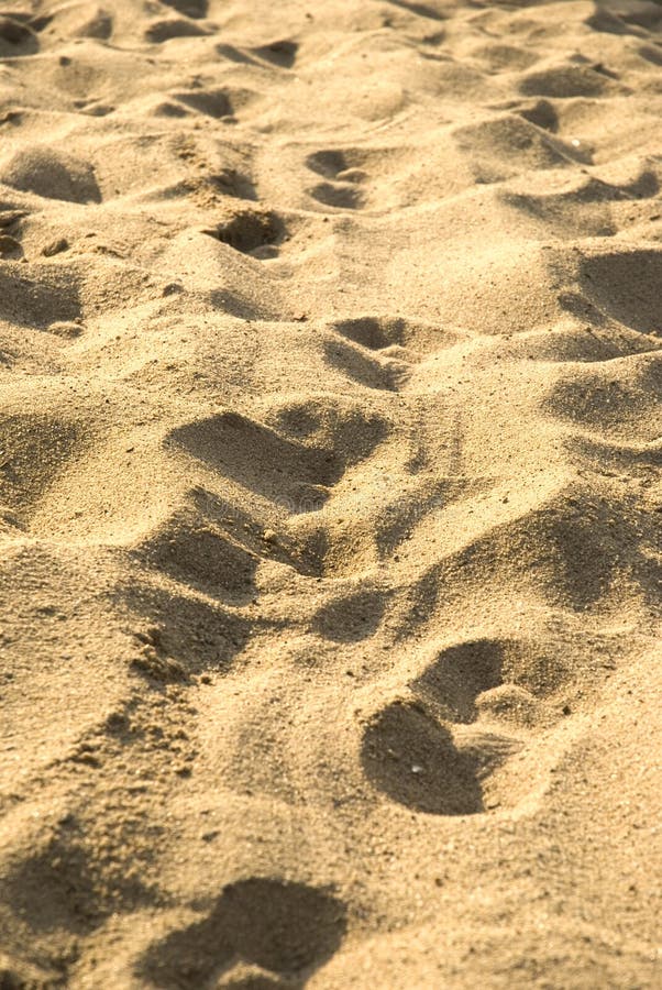 Beach sand stock photo. Image of textured, dune, silica - 13552562