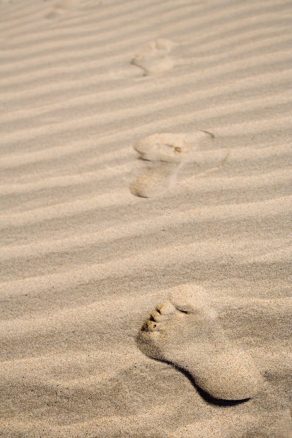Footprints on sand stock image. Image of ripple, scene - 29800995
