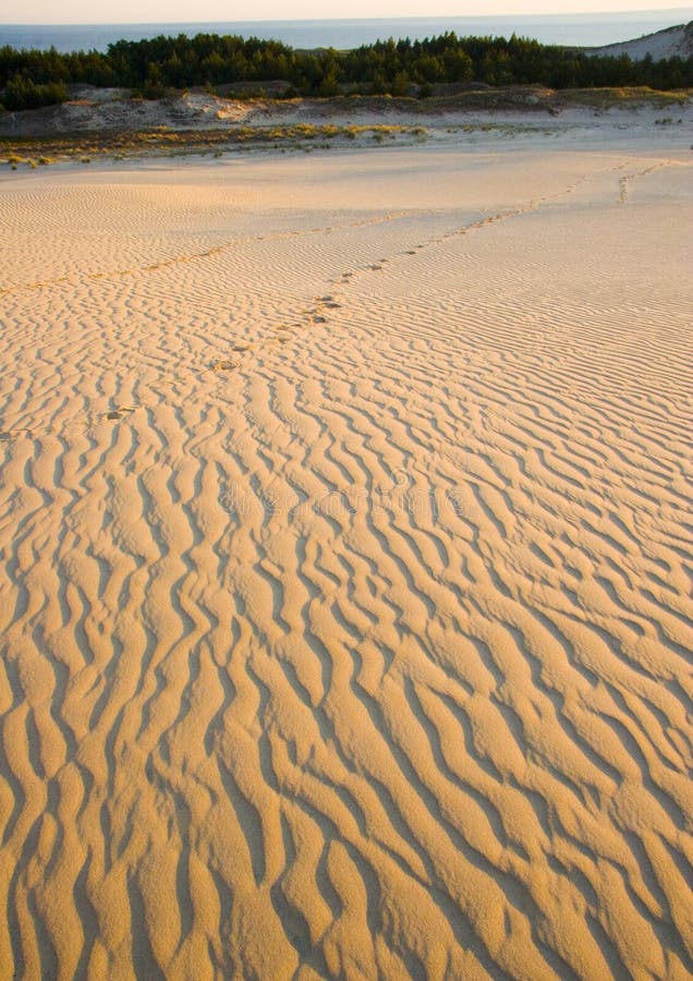 Sand stock image. Image of particle, dune, landscape, natural - 2110865