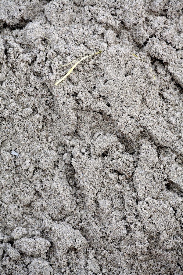 Sand stock photo. Image of inute, granules, detail, macro - 22627938