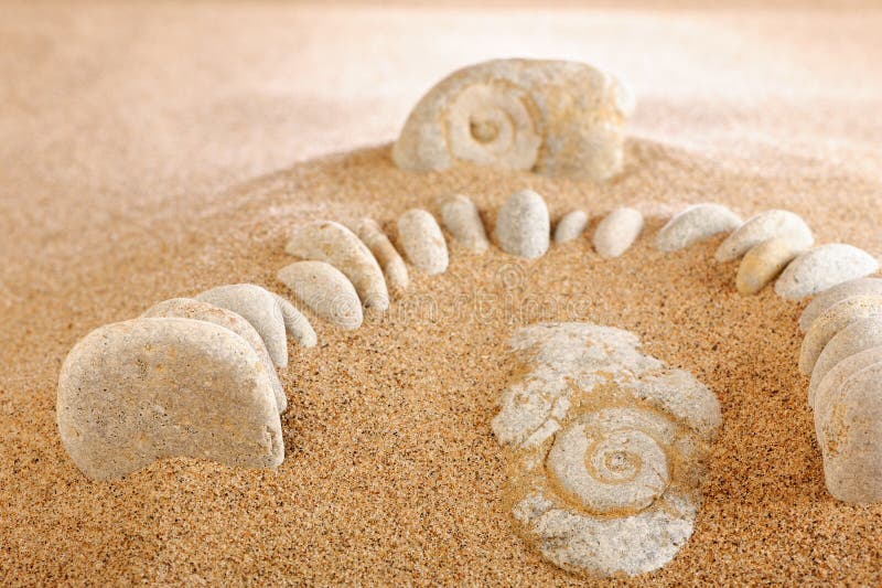 In Sand stock photo. Image of cobblestone, stone, relax - 9572206