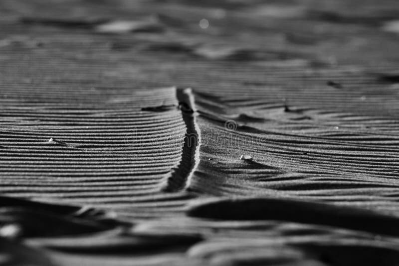 Sand art stock image. Image of sand, beach, sandy, wind - 68496997