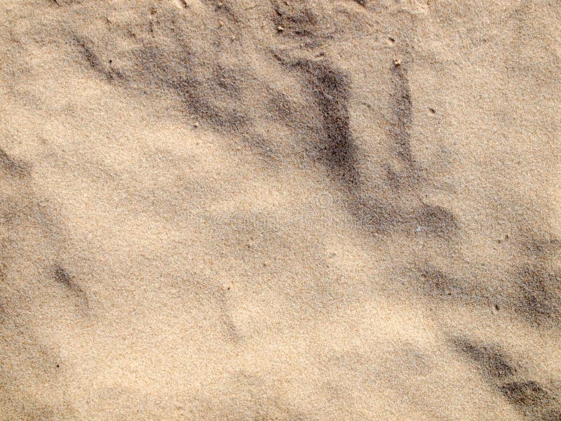 Sand background stock photo. Image of grained, closeup - 142747784