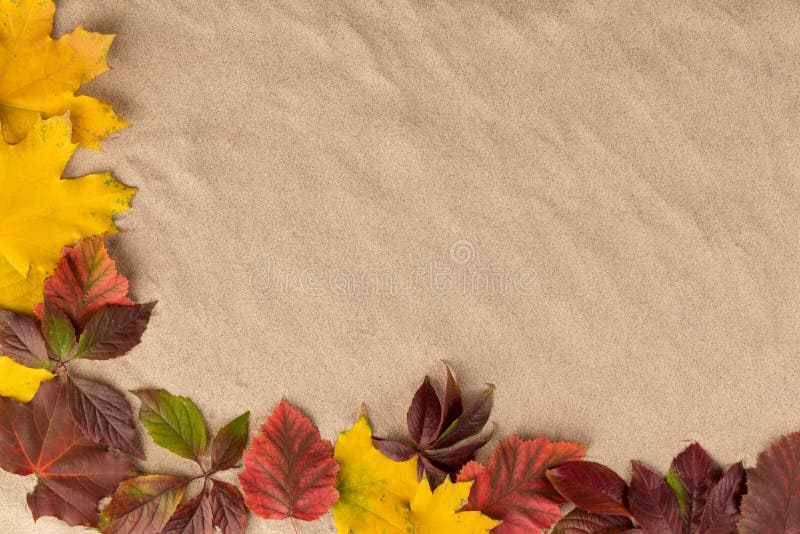 Sand Background with Autumn Leaves. Stock Image - Image of autumn ...