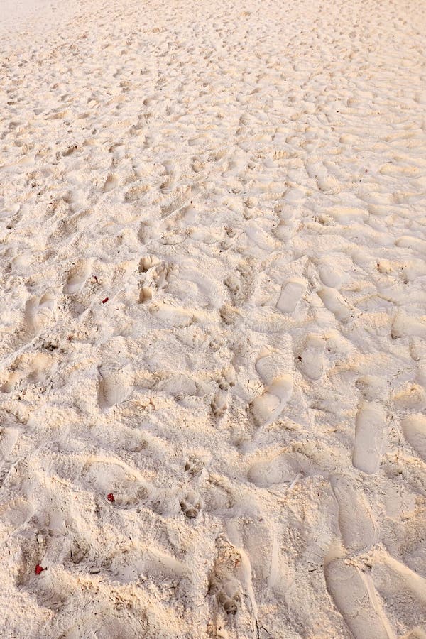 Sand background stock image. Image of summer, backdrop - 141790793