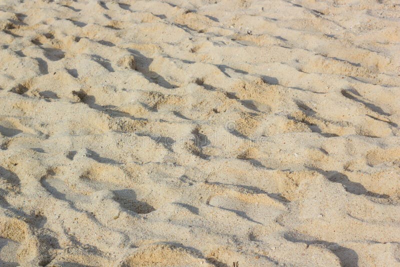 Sand background stock photo. Image of space, sand, sandy - 54022374