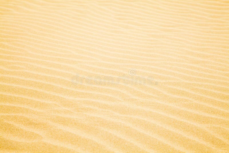 Tan Beach Sand Background stock photo. Image of view - 134055424