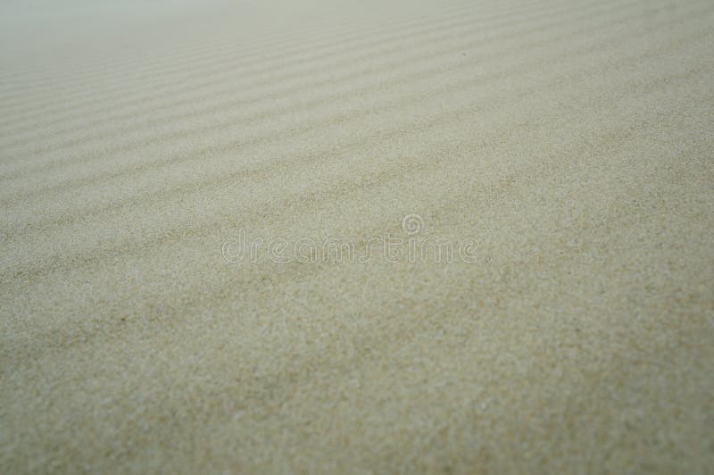 Sand Background Texture Light Color Summer Stock Image - Image of ...