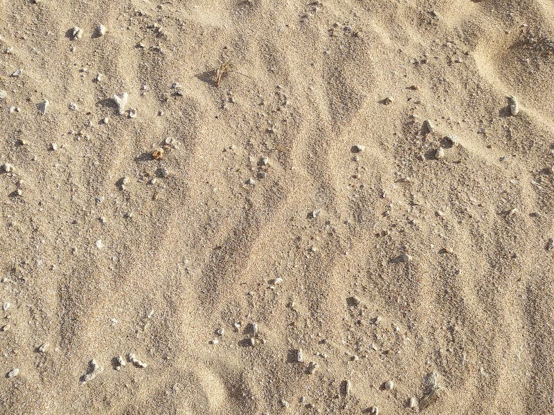 Sand Background Texture.Summer Concept. Holiday Abstract Theme.Mock Up ...