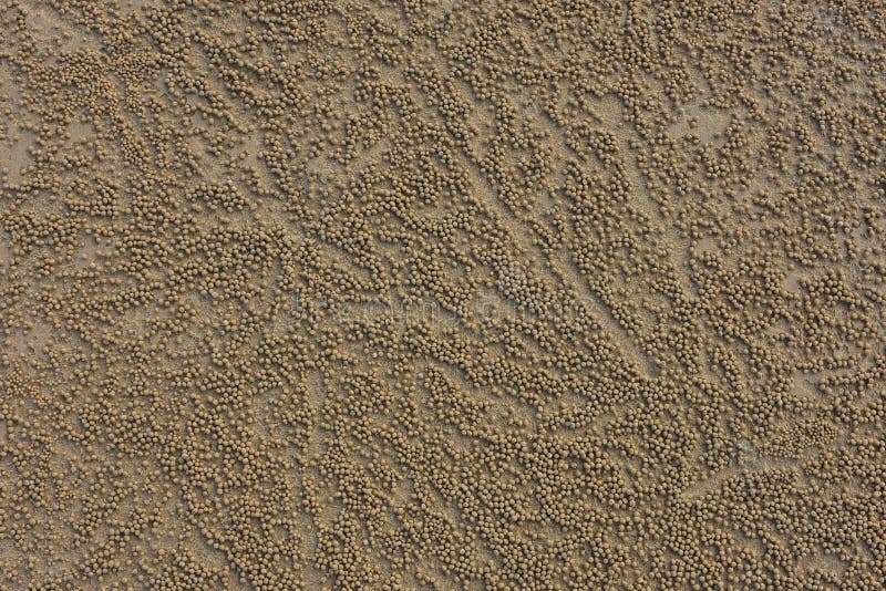 Sand ball texture stock image. Image of coarse, background - 117628923
