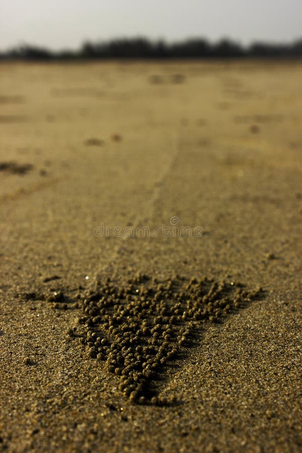 Sand balls made by crab stock image. Image of beach, sand - 36474855