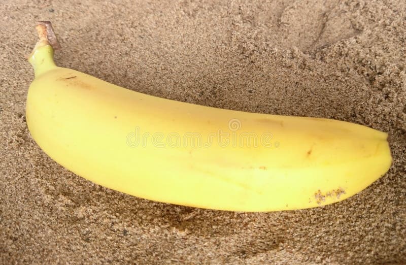 Banana in the sand stock photo. Image of beach, left - 53442372
