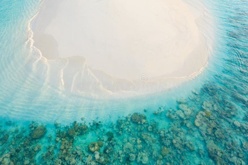Sand Bank in Maldives stock image. Image of island, exotic - 262362895