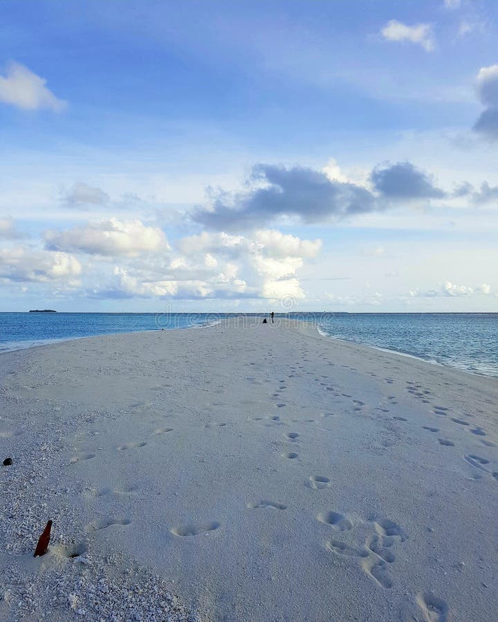 Sand bank stock photo. Image of nature, bank, maldives - 97359474