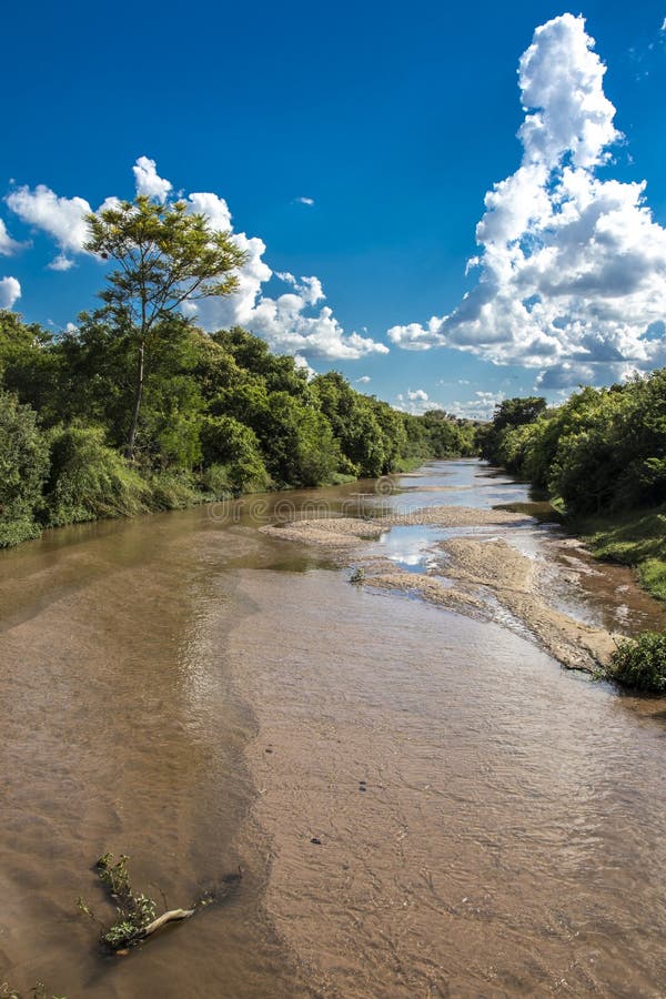 Sand Banks on a Silted Riverbed Stock Photo - Image of canal, forest ...