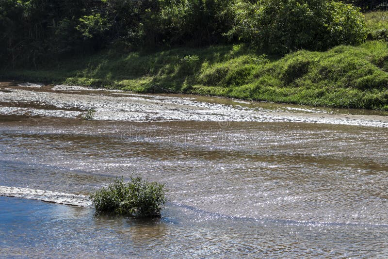 Sand Banks on a Silted Riverbed Stock Image - Image of bank, flora ...