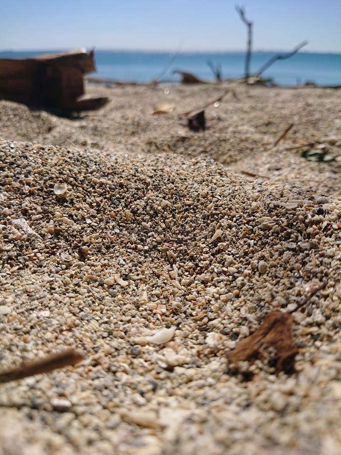 Sand of beac stock photo. Image of plant, autumn, geology - 234046850