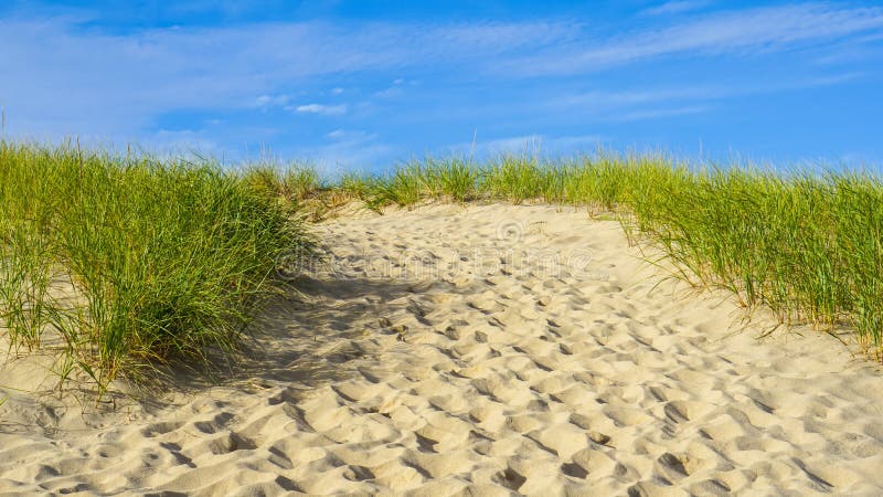 Sand, Beach, Grass Cape Cod New England Stock Image - Image of coastal ...