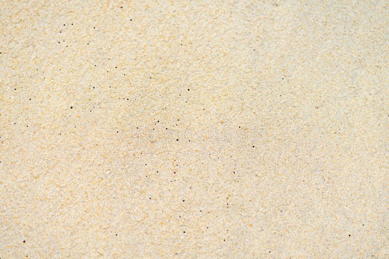 Sand beach ground floor stock photo. Image of desert - 188056354