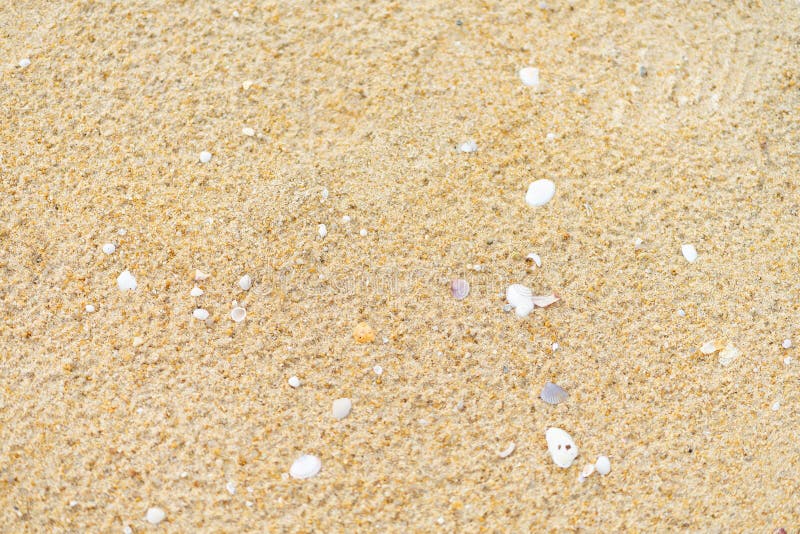 Sand beach ground floor stock image. Image of material - 188055567