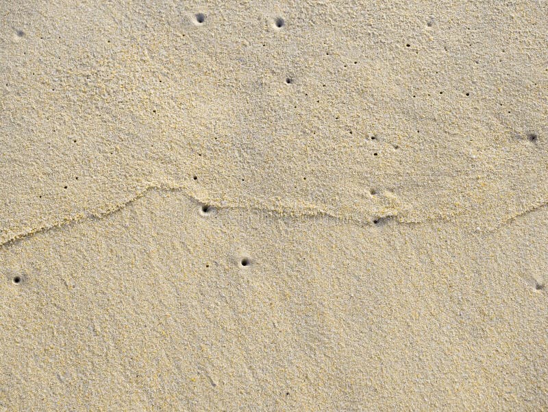 Sand beach ground floor stock image. Image of macro - 186927331