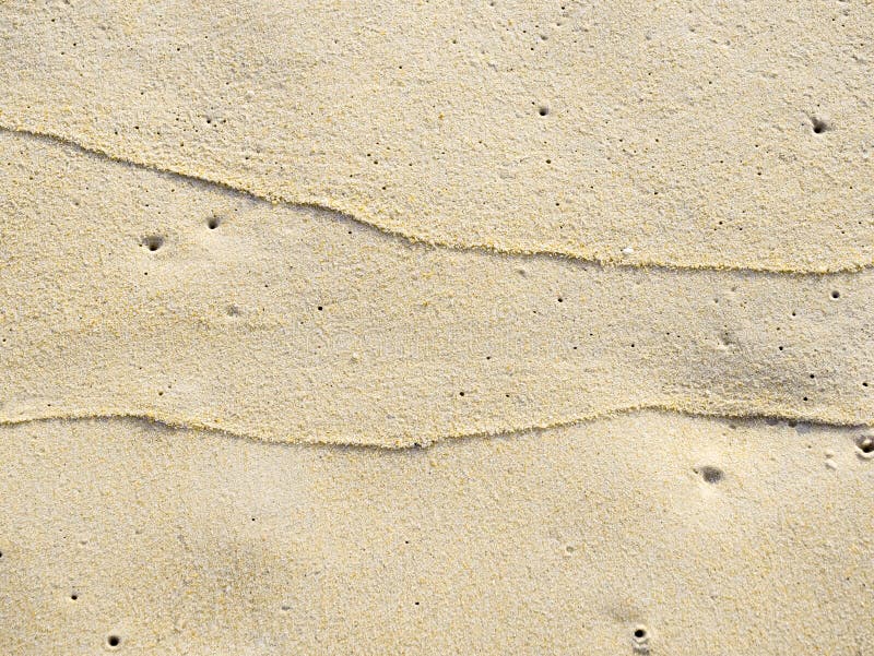 Sand beach ground floor stock photo. Image of back, earth - 186929414