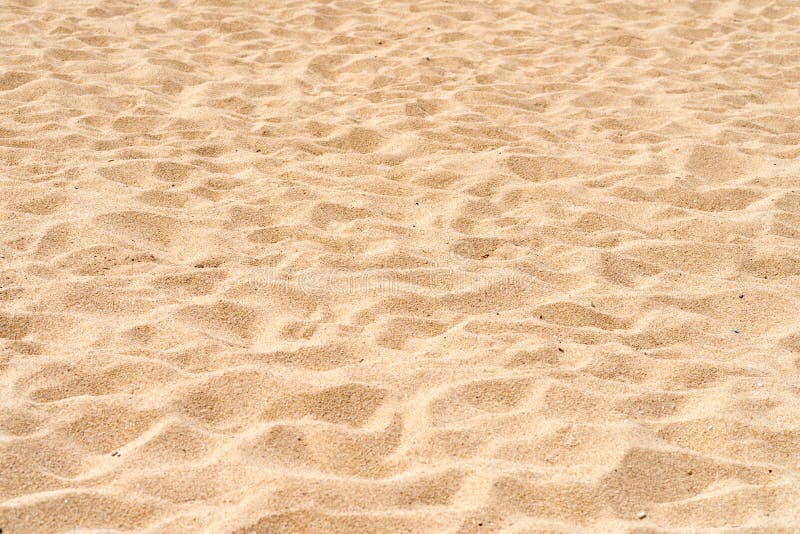Sand beach stock photo. Image of nature, outdoors, barren - 51429144